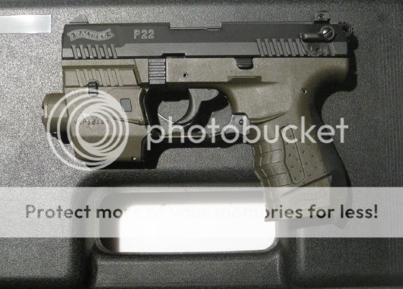 p22 pictures? | Rimfire Central Firearm Forum