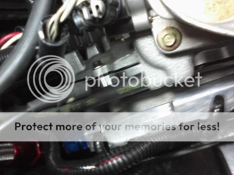 01 cobra intake vacuum line routing | Mustang and Ford Performance Forums