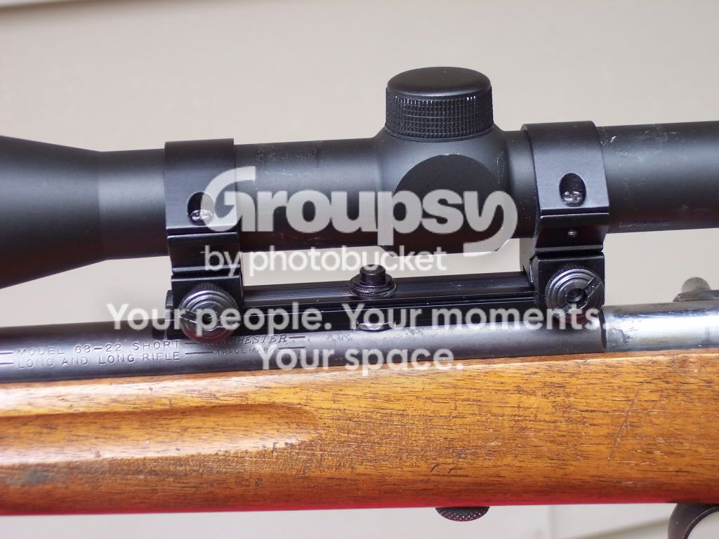 dovetail rail attached at rear sight dovetail? | Rimfire Central ...