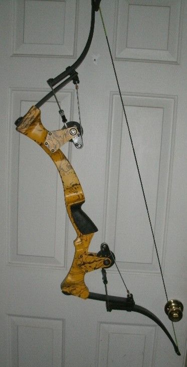Oneida Bow Pictures | Page 5 | Archery Talk Forum